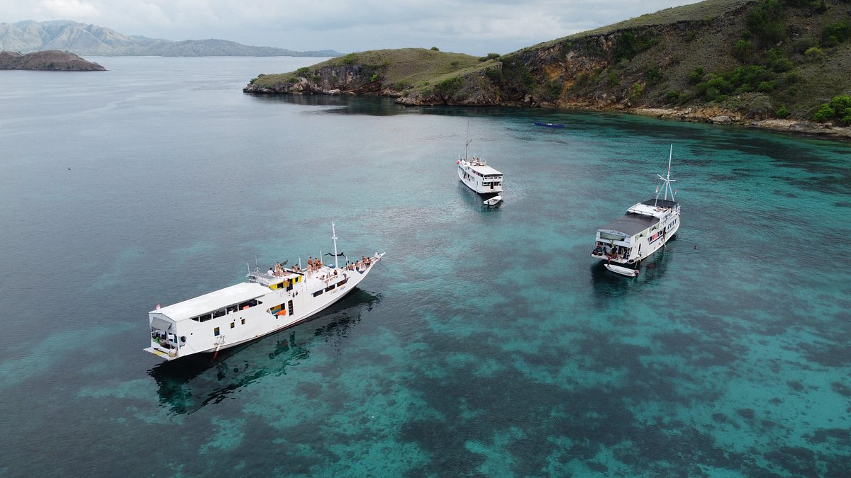 Tour Information – Kareem The Explorer